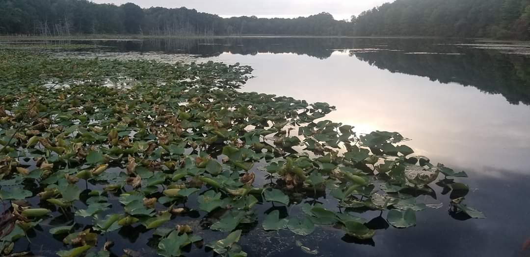 Southwest Michigan Land Conservancy – First National Bank of Michigan